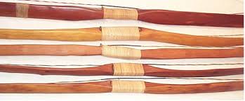 Osage Orange Tree | My Cherokee Garden