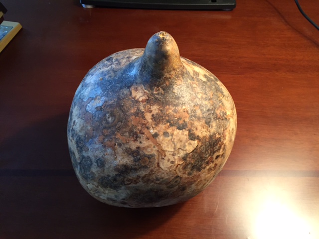 Native Gourds-Many Cherokee Uses | My Cherokee Garden